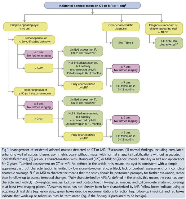 On CT or MR : 2020 ACR White Paper - Clinical Guide Wiki